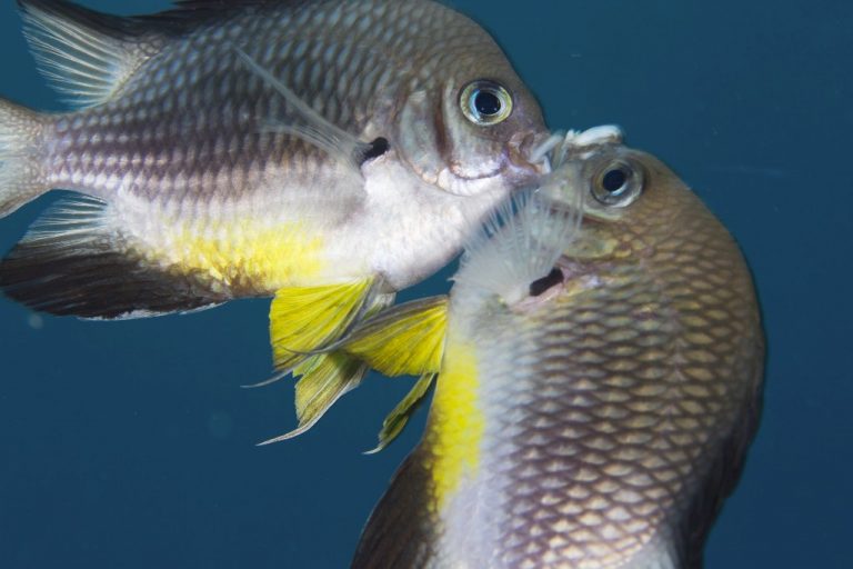 Gallery – Coral Seas – Journeys – W & R Hughes