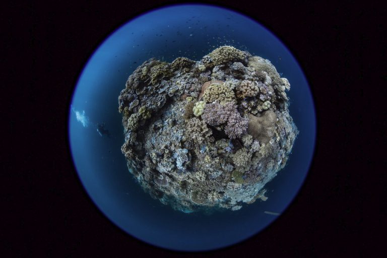 Gallery – Coral Seas – Journeys – W & R Hughes