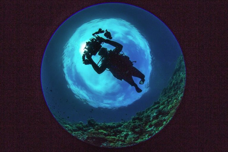 Gallery – Coral Seas – Journeys – W & R Hughes