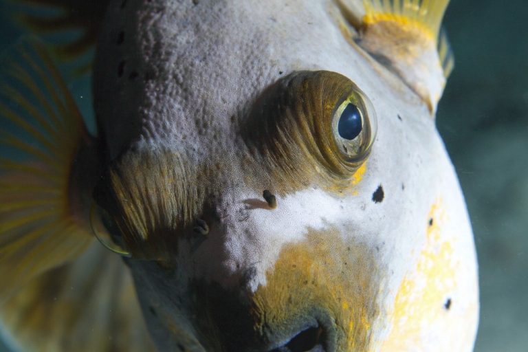 Gallery – Coral Seas – Journeys – W & R Hughes